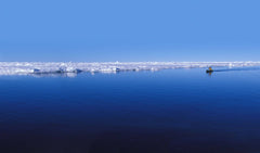 De krachtigste en zuiverste omega-3 van Nederland | Care by Nature