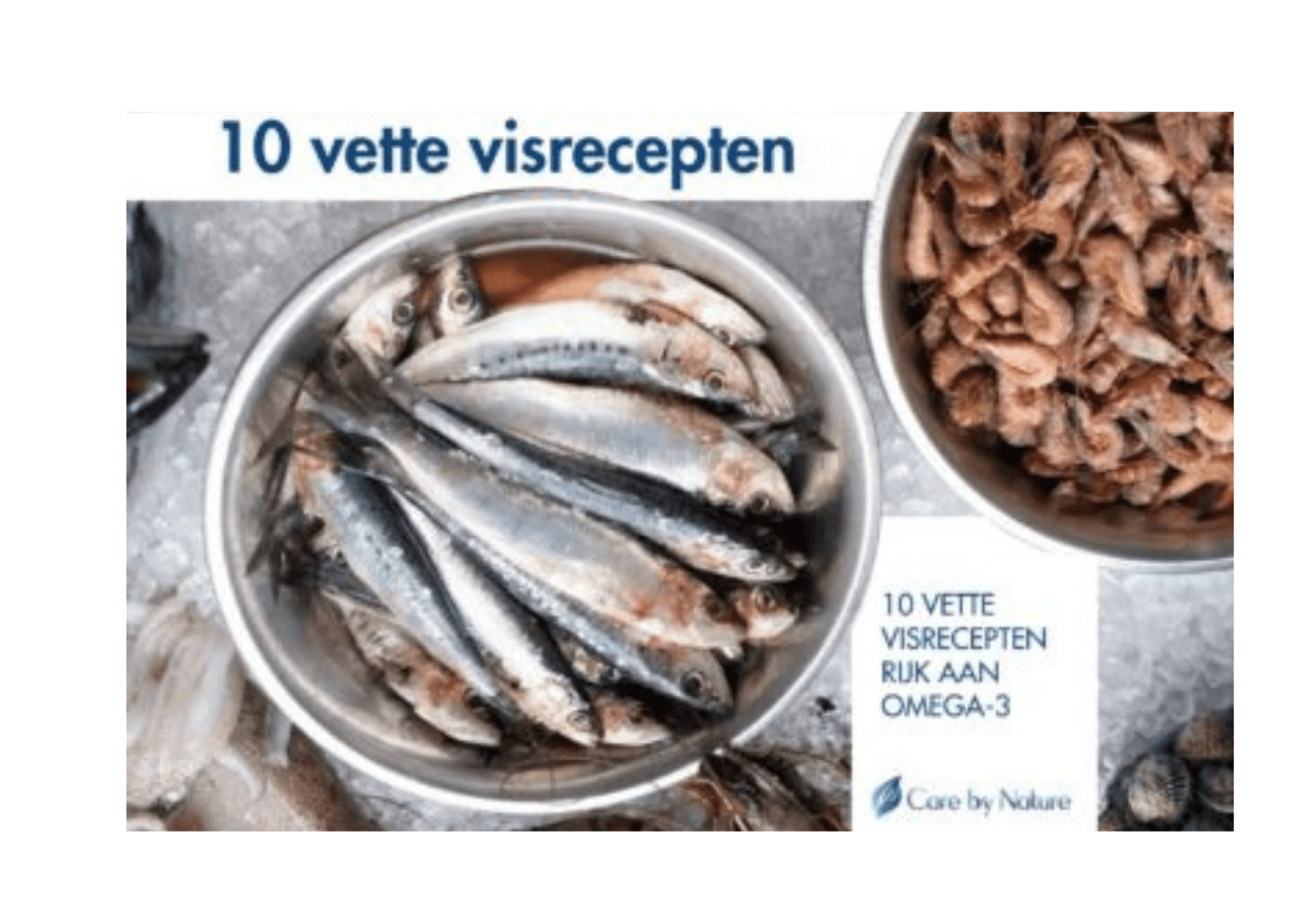 GRATIS e-boek "10 Vette Vis Recepten, rijk aan Omega-3" kopen? | Care ...